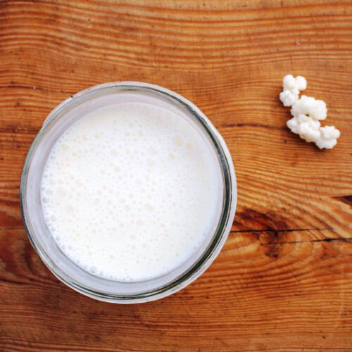 Kefir Grains for Cheesemaking and Fermentation (with Recipe) – Fermentation